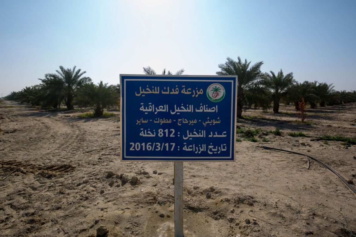 وفد من الامم المتحدة يزور العتبة الحسينية ويطلع على اكبر مشروع زراعي